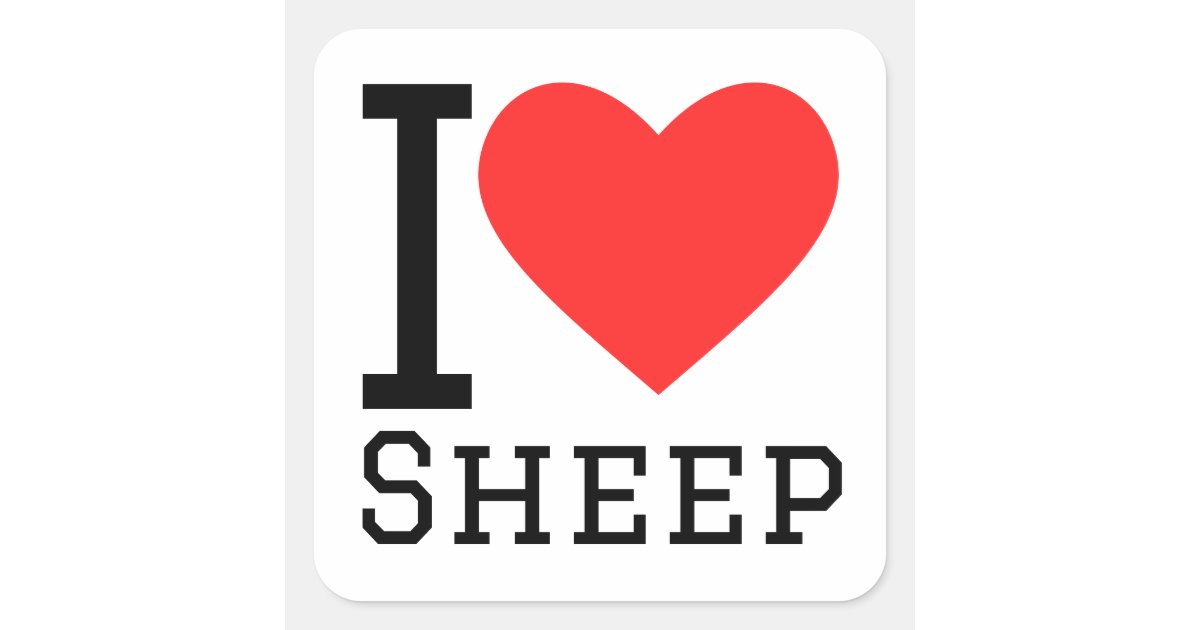 I love sheep square sticker | Zazzle