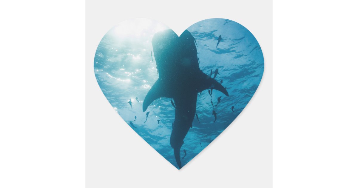 I love whale sharks heart sticker | Zazzle