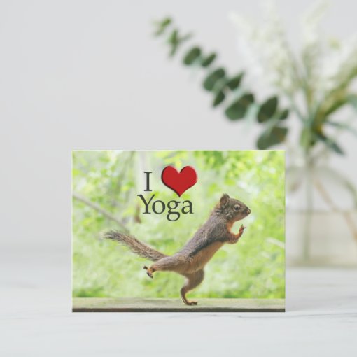 I Love Yoga Squirrel Postcard | Zazzle