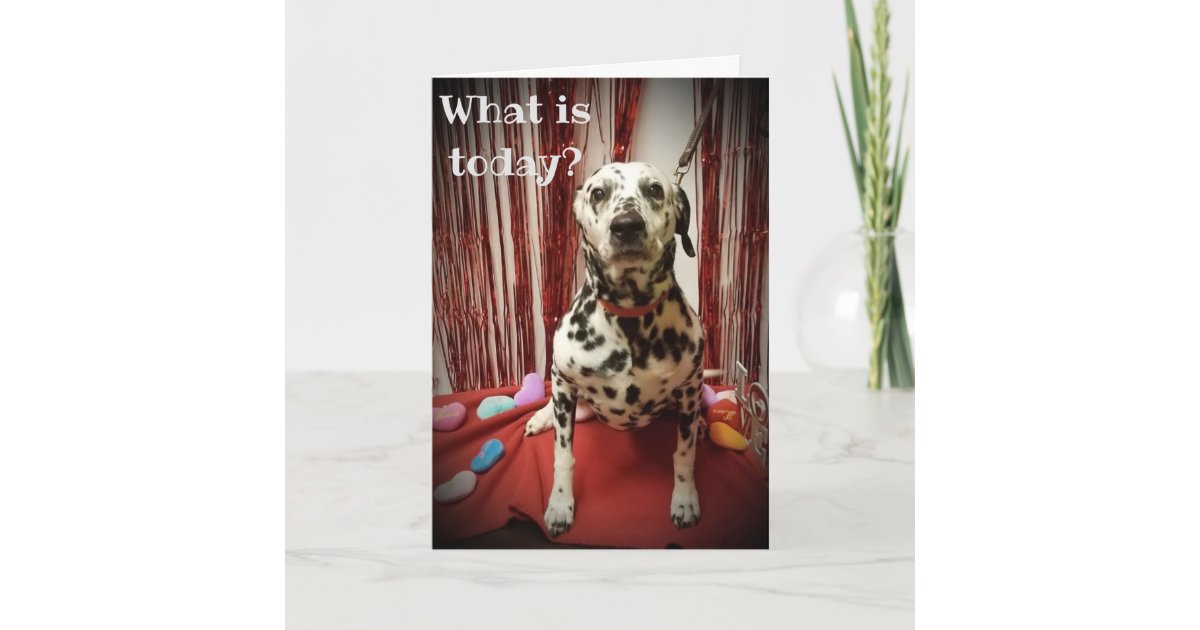 "I LOVE YOU" ALL DAY CARD | Zazzle