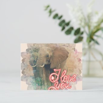 I Love You Elephants Postcard | Zazzle