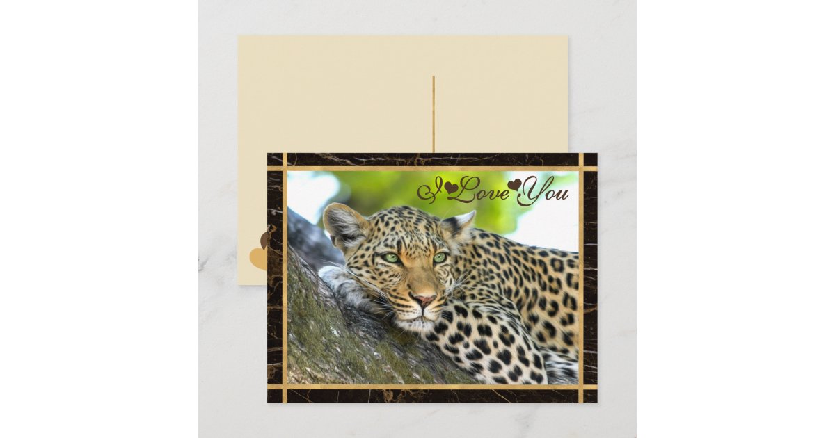 I Love You Leopard Photograph Postcard | Zazzle