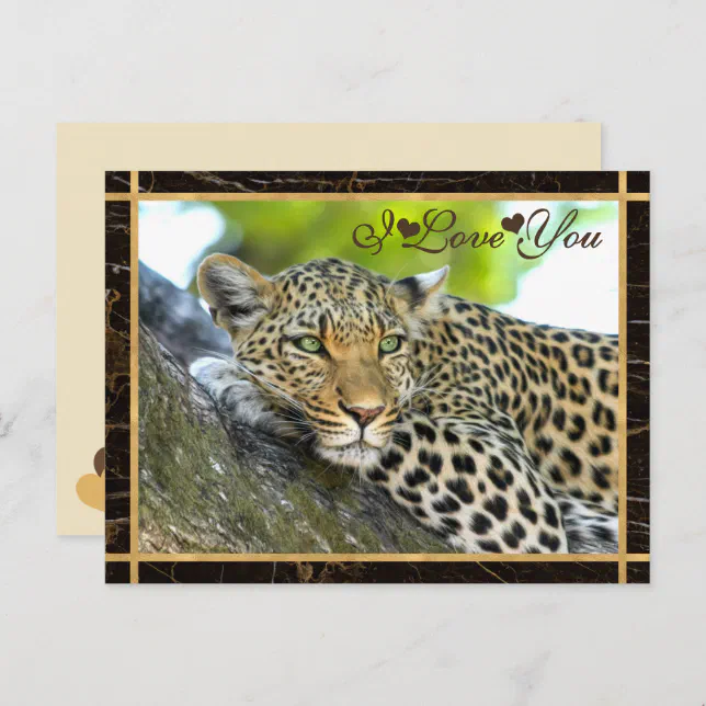 I Love You Leopard Photograph Postcard | Zazzle