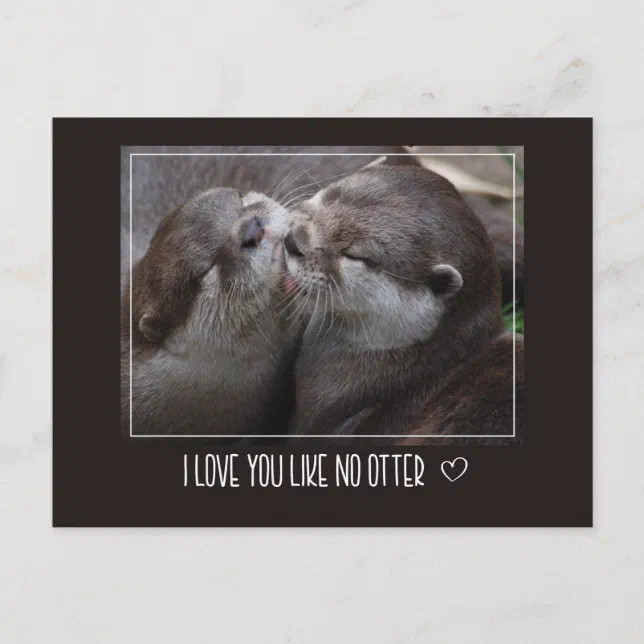 I Love You Like No Otter Cute Photo Postcard | Zazzle
