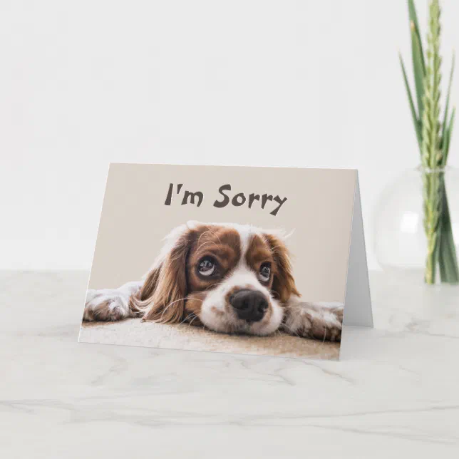 I’m Sorry Please Forgive Me Card | Zazzle