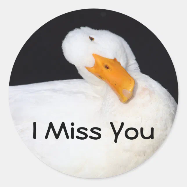 I Miss You, funny duck stickers | Zazzle