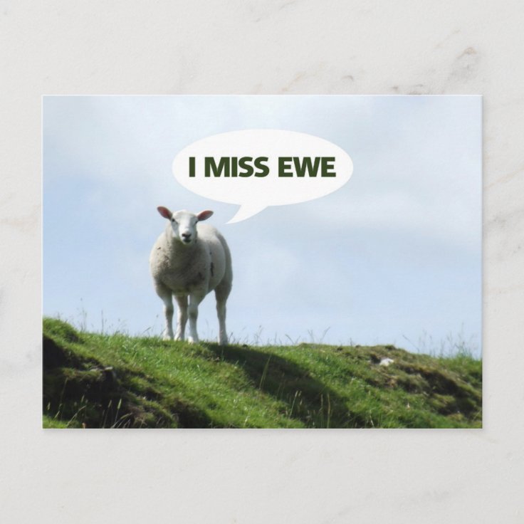 I Miss You Funny Sheep Ewe Postcard | Zazzle