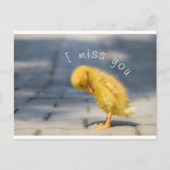 I Miss You Post Card | Zazzle