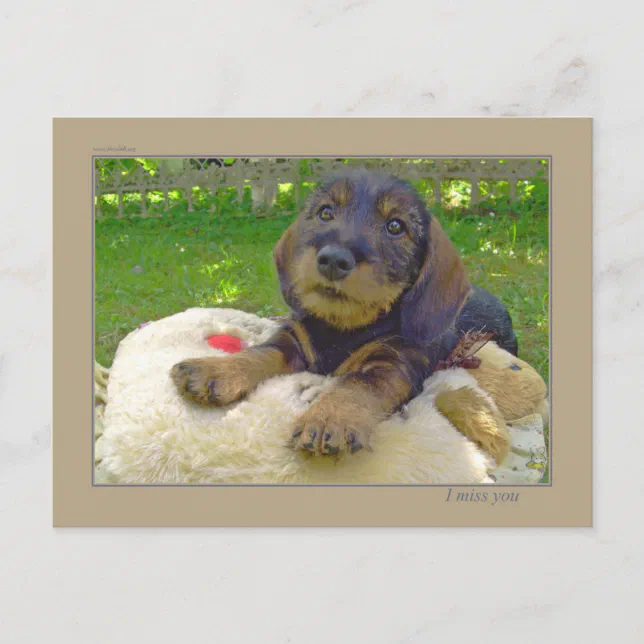 I miss you postcard | Zazzle