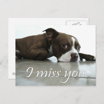 I Miss You Postcard | Zazzle