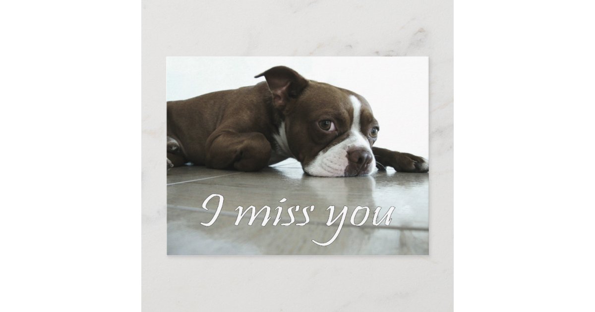 I Miss You Postcard | Zazzle