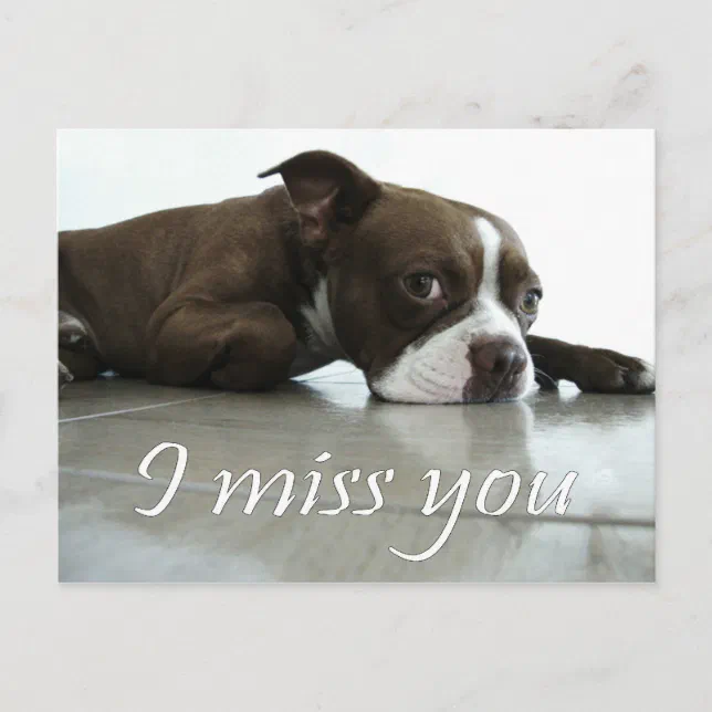 I Miss You Postcard | Zazzle