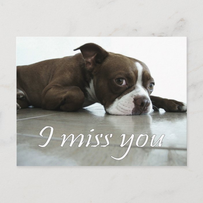 I Miss You Postcard | Zazzle.com