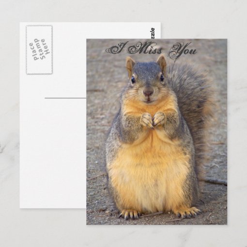 I Miss You_ Postcard_by Elenne Boothe Postcard | Zazzle