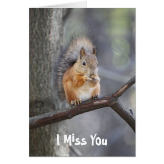 Missing You Squirrel Gifts - T-Shirts, Art, Posters & Other Gift Ideas ...