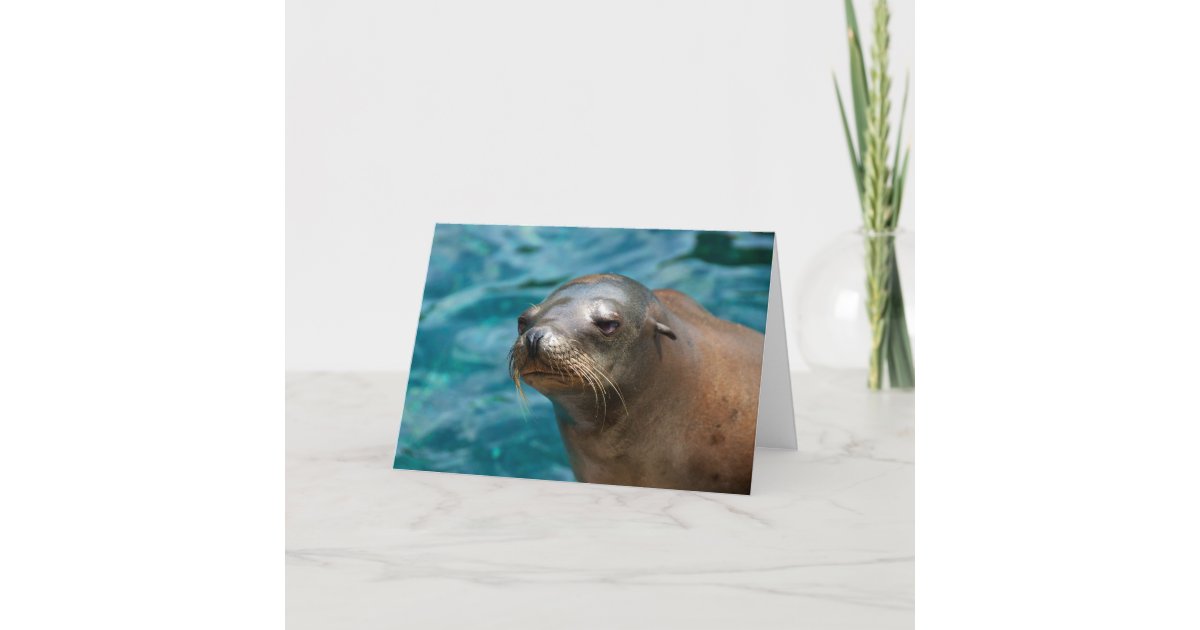 I Miss You - Seal Greeting Card | Zazzle