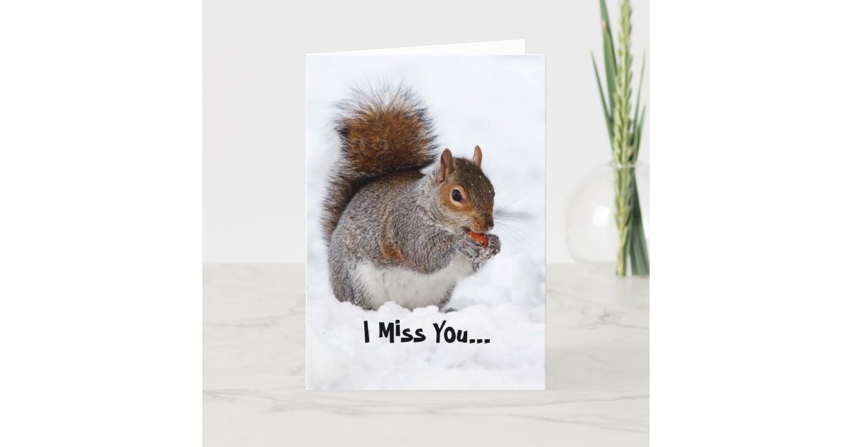 I Miss You Squirrel Greeting card | Zazzle