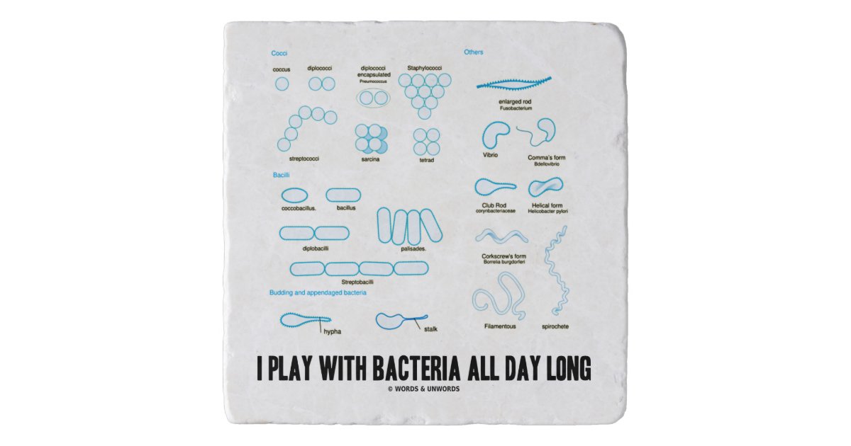 I Play With Bacteria All Day Long Microbiology Trivet | Zazzle
