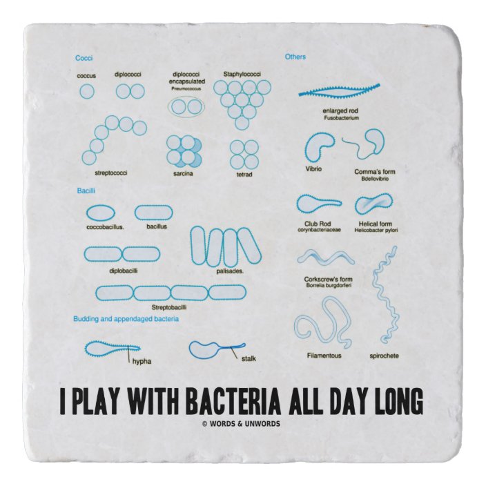 I Play With Bacteria All Day Long Microbiology Trivet | Zazzle.com