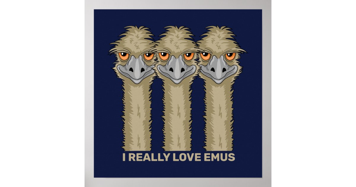 I Really Love Emus Poster | Zazzle