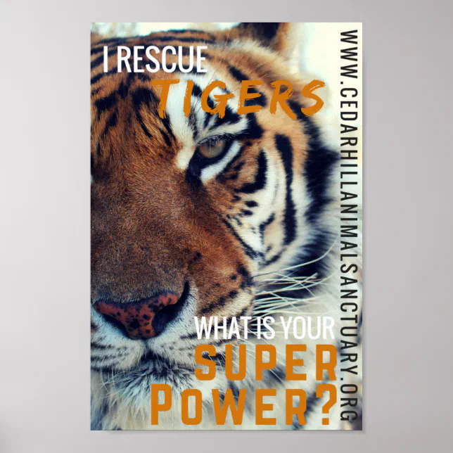 I Save Tigers Super Power Poster | Zazzle