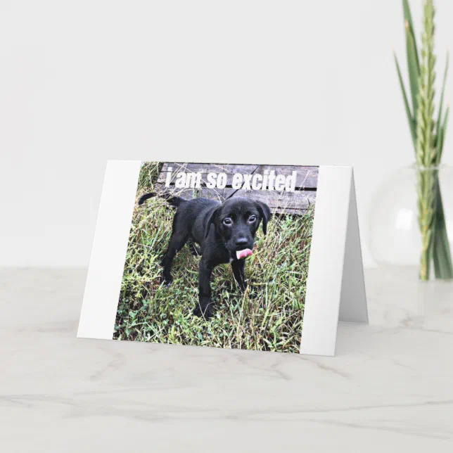 I SEND A SMILE AND SAY ***CONGRATULATIONS*** CARD | Zazzle