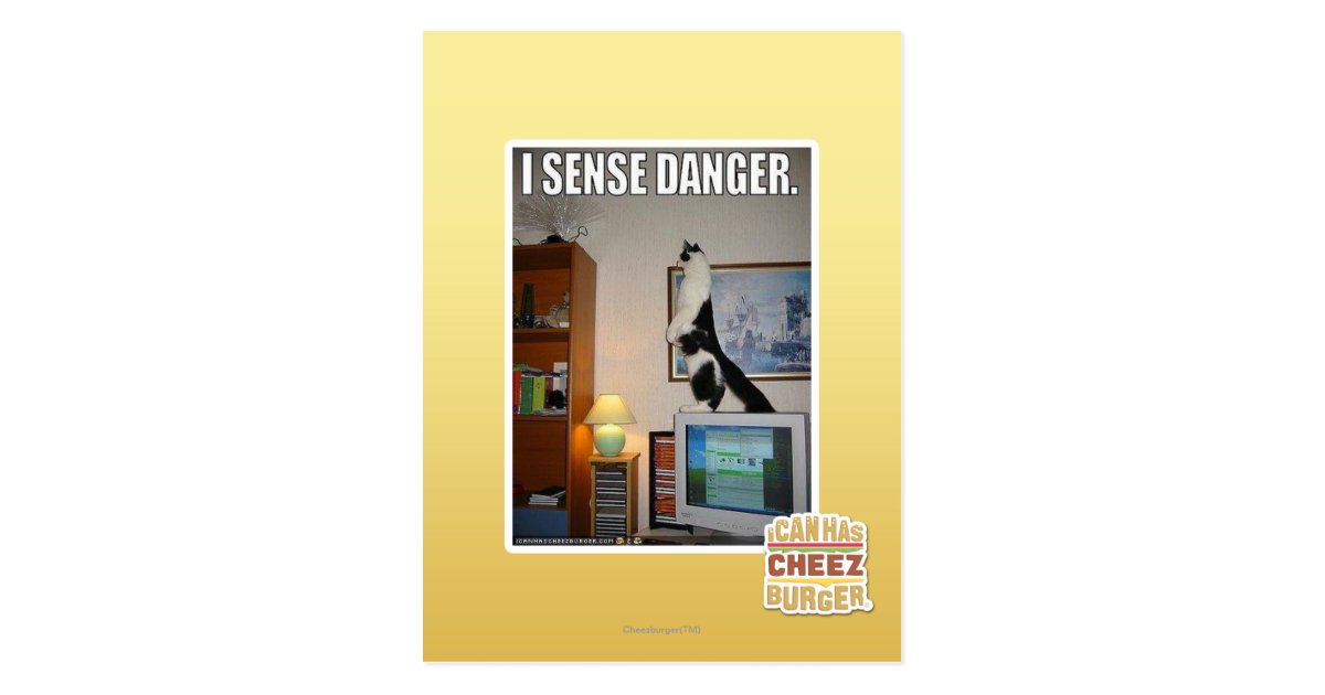 I sense danger postcard | Zazzle.com