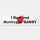 I Survived Hurricane SANDY bumpersticker Bumper Sticker | Zazzle