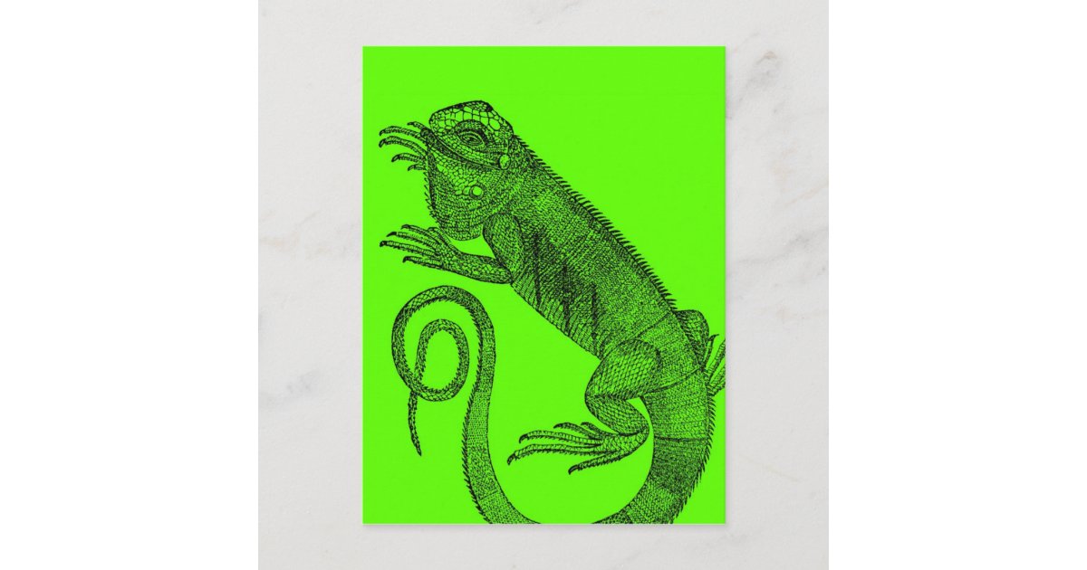 I Wanna Iguana Postcard | Zazzle