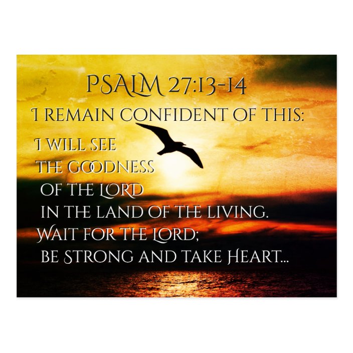 I Will See The Goodness Of The Lord Psalm 27 13 14 Postcard Zazzle i-will-see-the-goodness-of-the-lord-psalm-27-13-14-postcard-zazzle