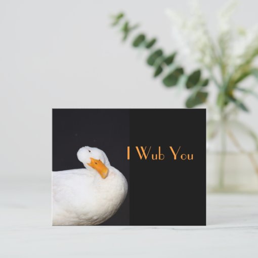 I Wub You, Cute White Duck Postcard | Zazzle