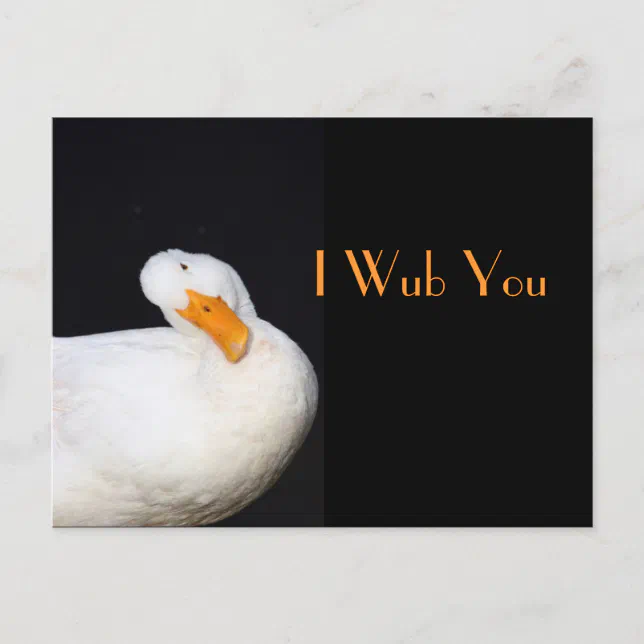 I Wub You, Cute White Duck Postcard | Zazzle