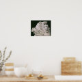 Icarus Falling, 1743 Poster | Zazzle