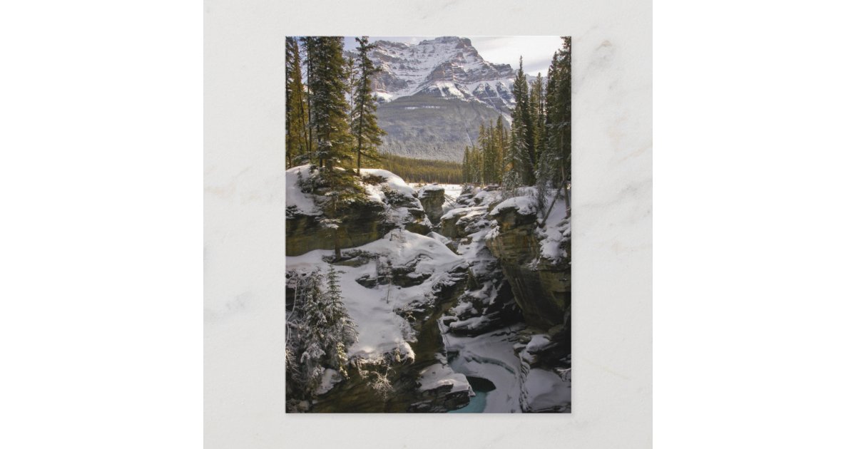 Ice & Snow | Jasper National Park Alberta, Canada Postcard | Zazzle