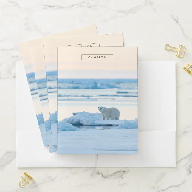Ice & Snow | Polar Bear Iceberg Norway Pocket Folder | Zazzle