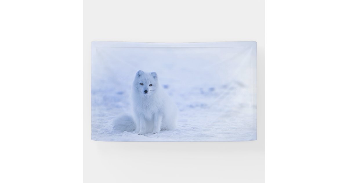 Iceland Arctic Fox Banner | Zazzle