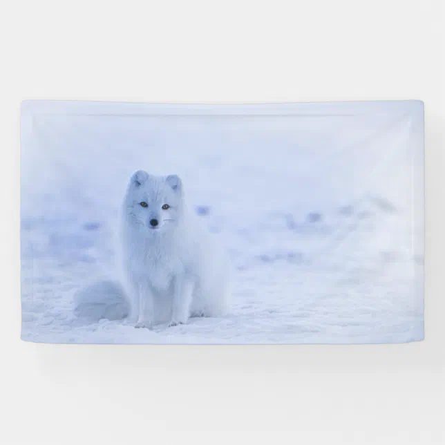Iceland Arctic Fox Banner | Zazzle