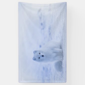 Iceland Arctic Fox Banner | Zazzle