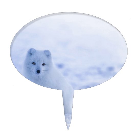 Iceland Arctic Fox Cake Topper | Zazzle.com