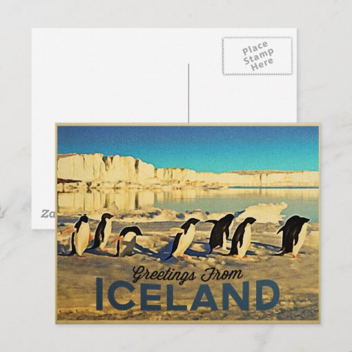 Iceland Penguins Postcard | Zazzle