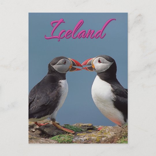Iceland Postcard | Zazzle.com