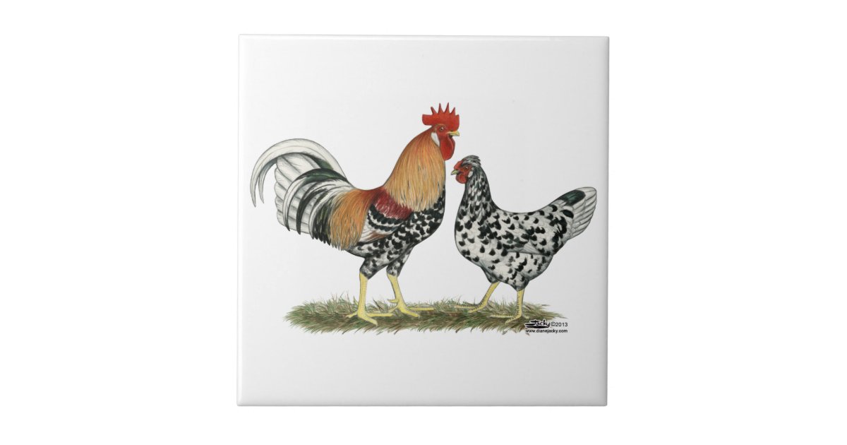 Icelandic Chickens Ceramic Tile | Zazzle