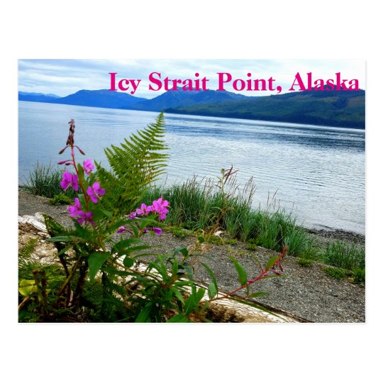 Icy Strait Point, Alaska Postcard | Zazzle.com