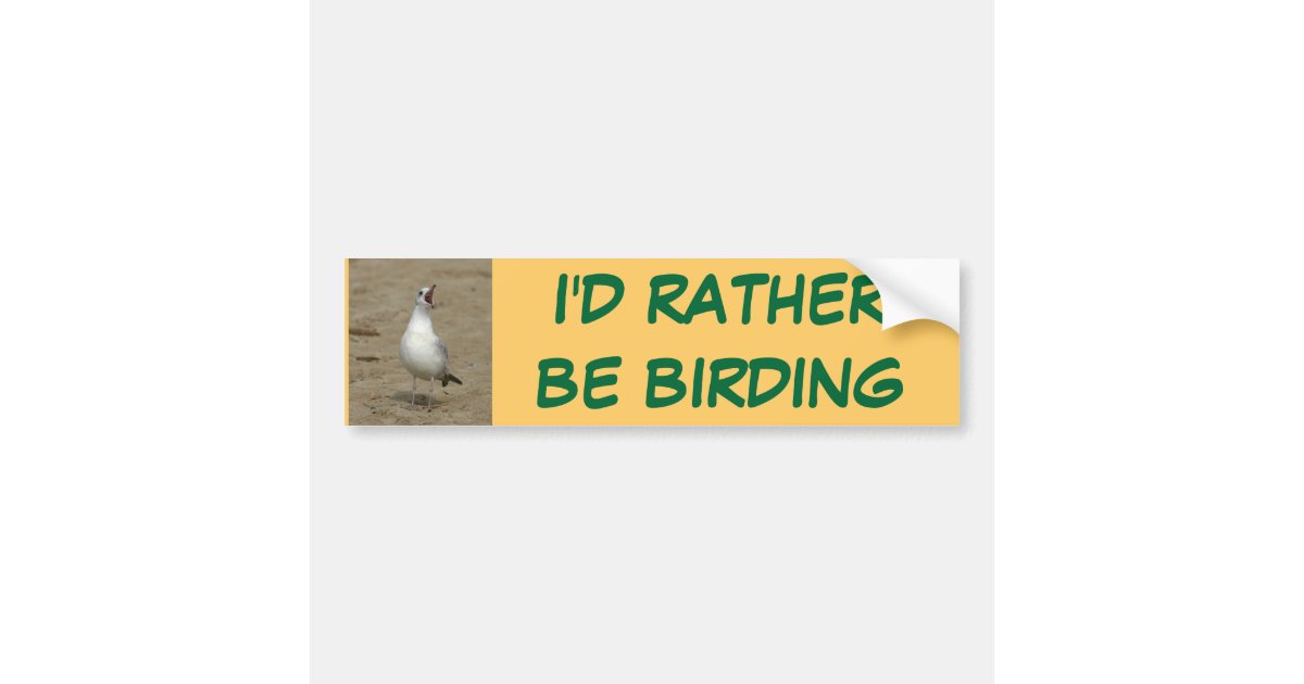I'd rather be birding Bumper Sticker | Zazzle