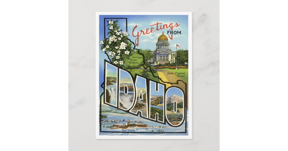 Idaho Greetings From US States Postcard | Zazzle