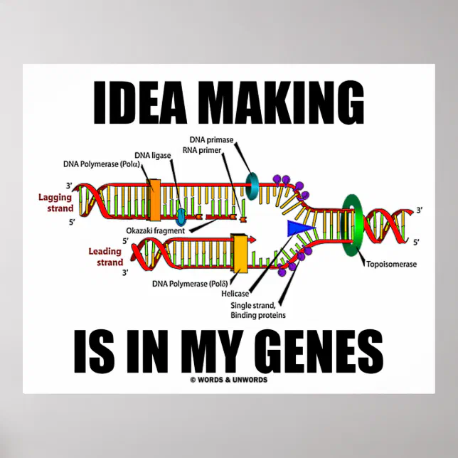 Idea Making Is In My Genes (DNA Replication) Poster | Zazzle