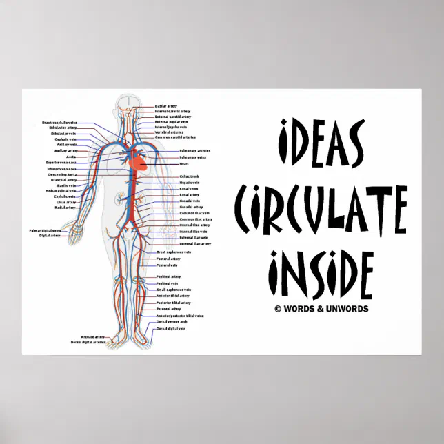 Ideas Circulate Inside (Circulatory System) Poster | Zazzle