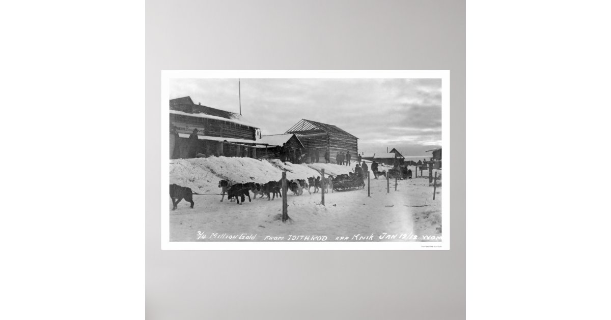 Iditarod Alaska Birdseye 1914 Poster | Zazzle