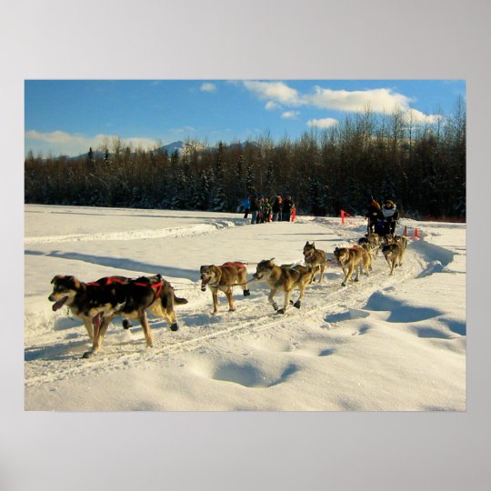 Iditarod Trail Sled Dog Race Poster | Zazzle.com