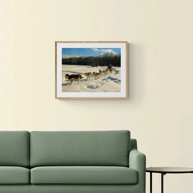 Iditarod Trail Sled Dog Race Poster | Zazzle